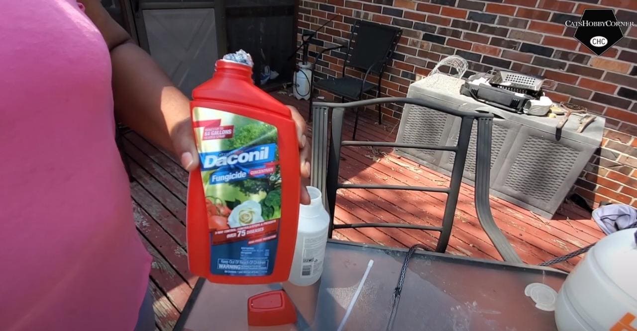 Daconil Fungicide Website - Premium Spray and Concentrate