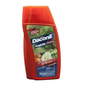 Daconil Fungicide Website - Premium Spray and Concentrate
